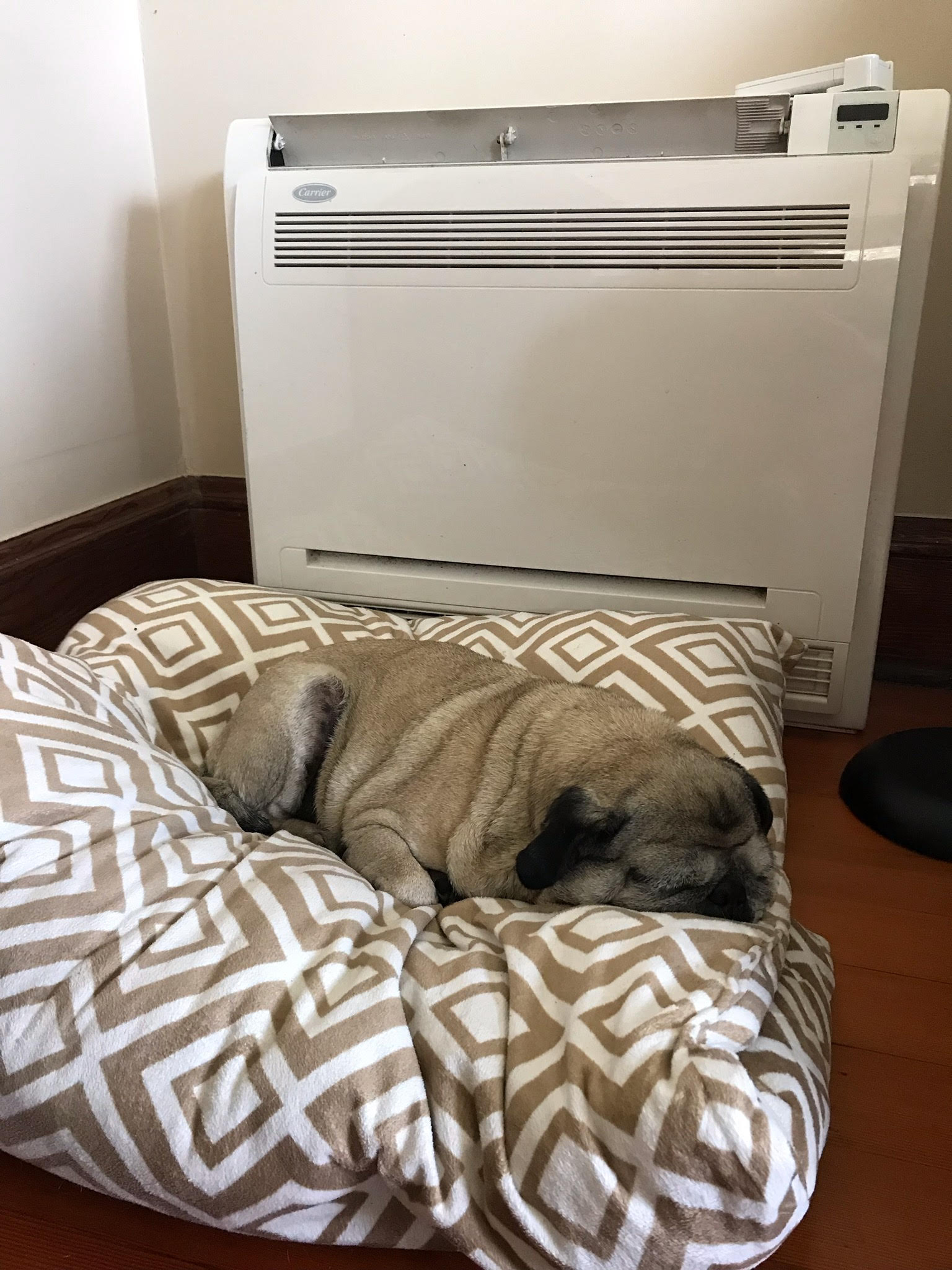 Should you turn your AC unit off while on vacation